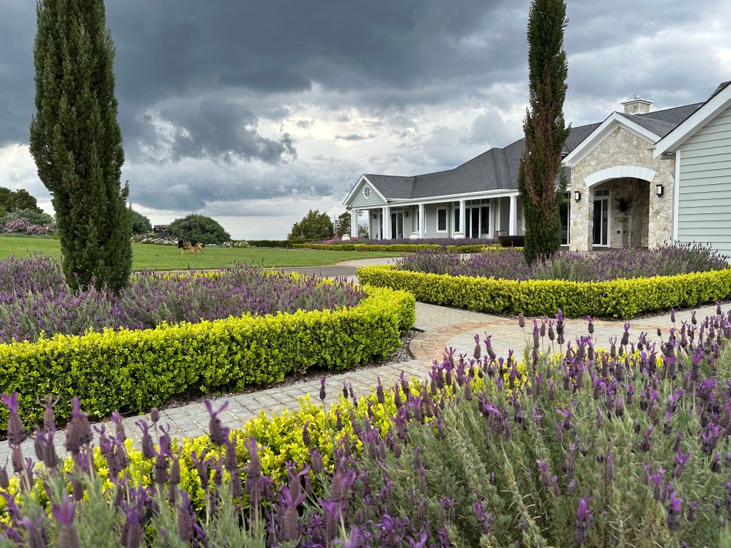 Hamptons Garden - Clark + Granger | Building Design & Landscape ...